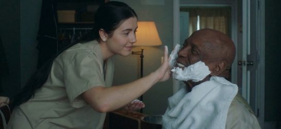 Le Cubain - Lorsque la musique est le pont entre nos histoires - Le ...