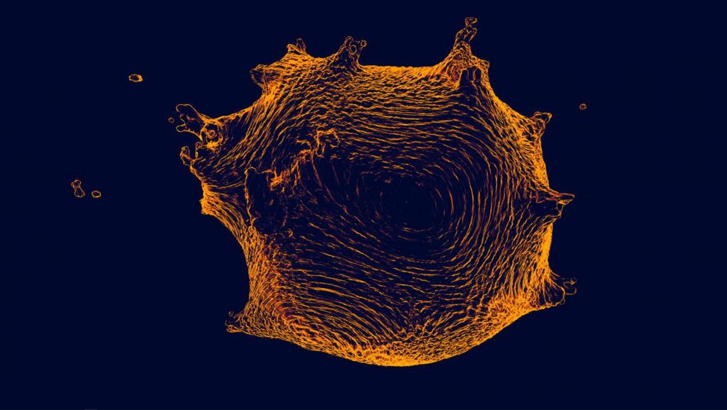 [FNC] Compétition courts métrages — Les nouveaux alchimistes 3 - Le ...